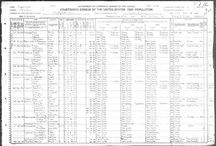 How is a census substitute useful for genealogy? – EasyGenie