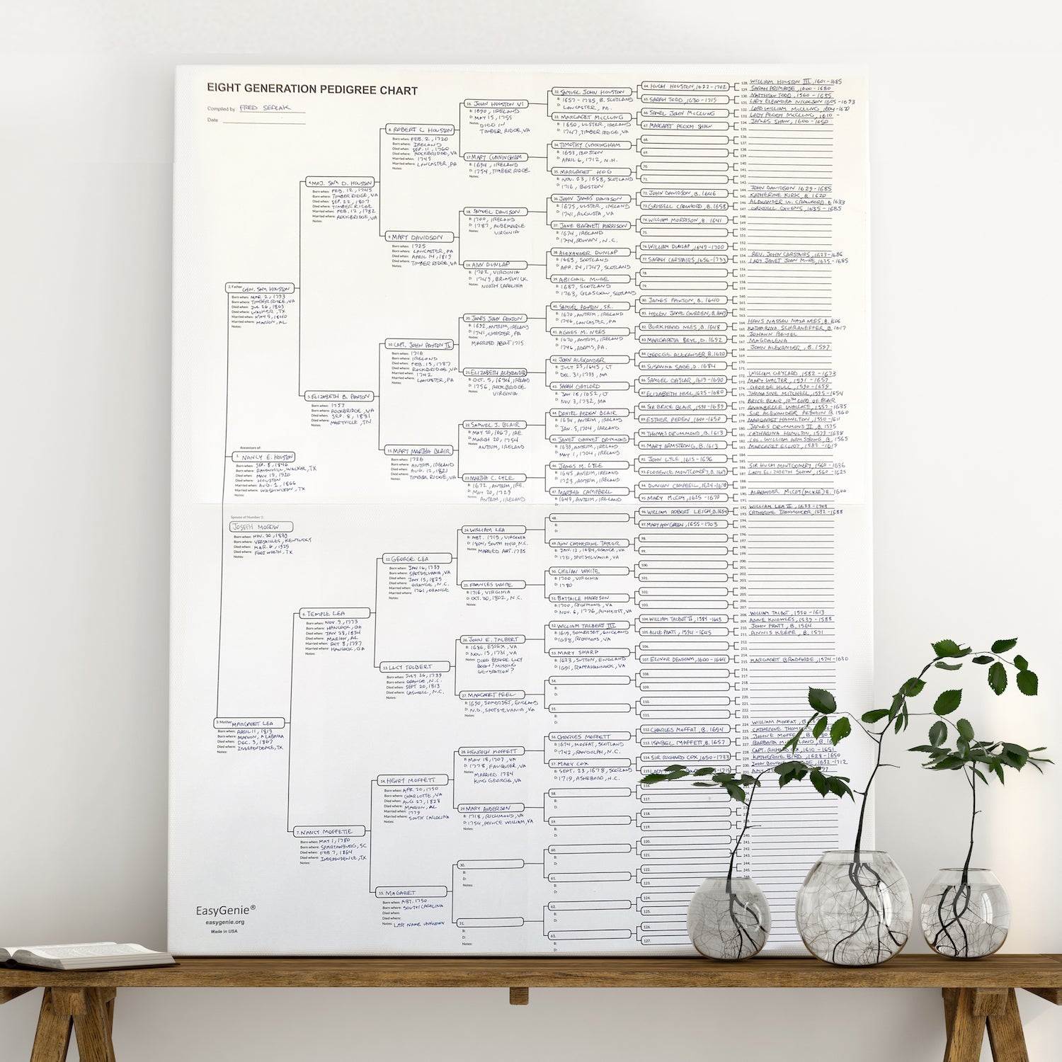 EasyGenie Genealogy Store: genealogy charts, genealogy gifts, and PDFs