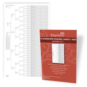 All Available Genealogy Charts – EasyGenie