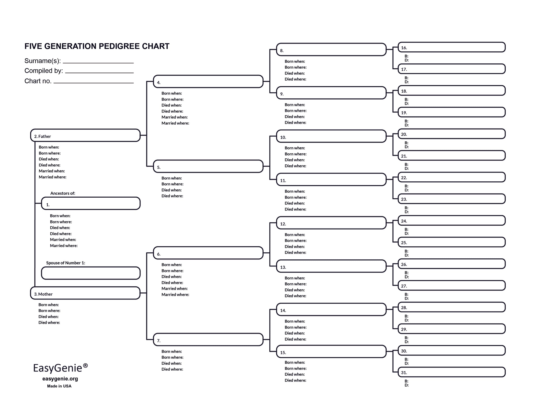 Five Generation Pedigree Charts (30 Sheets) – EasyGenie