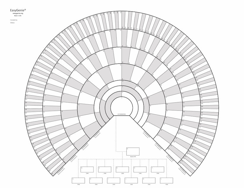 TEN Blank Fan Charts with Family Members (9 Generations/267 Names ...