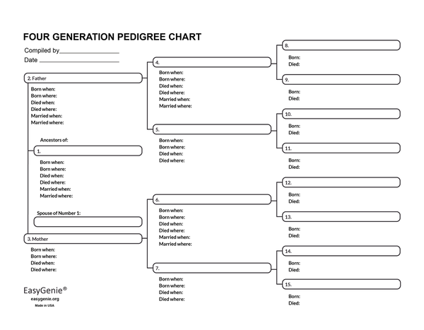 Pedigree worksheet PDF set | LARGE PRINT fillable pedigree chart & fam ...