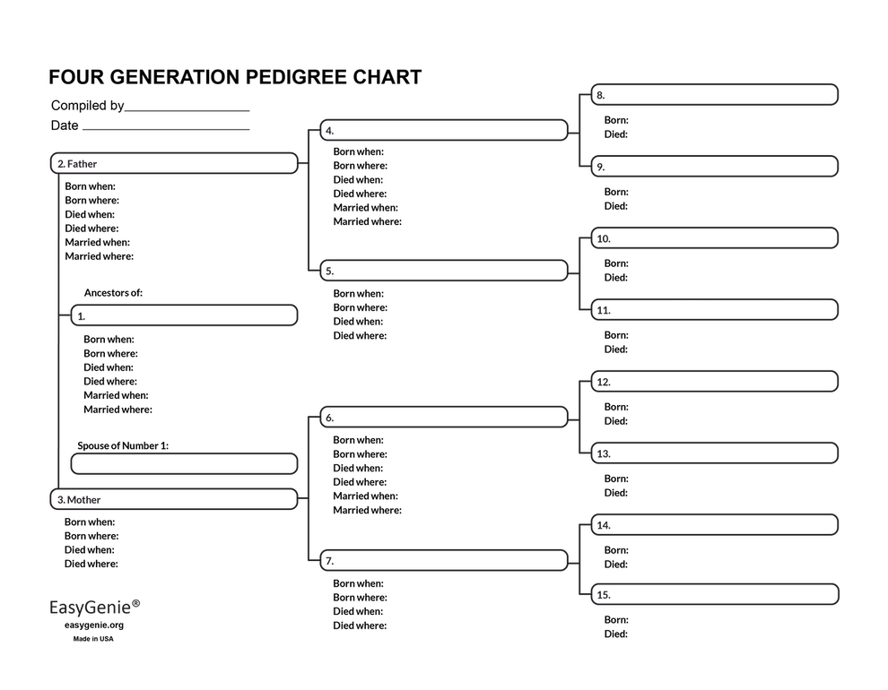 Pedigree worksheet PDF set | LARGE PRINT fillable pedigree chart & fam ...