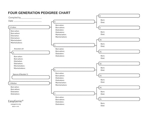 Large-Print Genealogy Charts and Forms Kit (30 Sheets) – EasyGenie