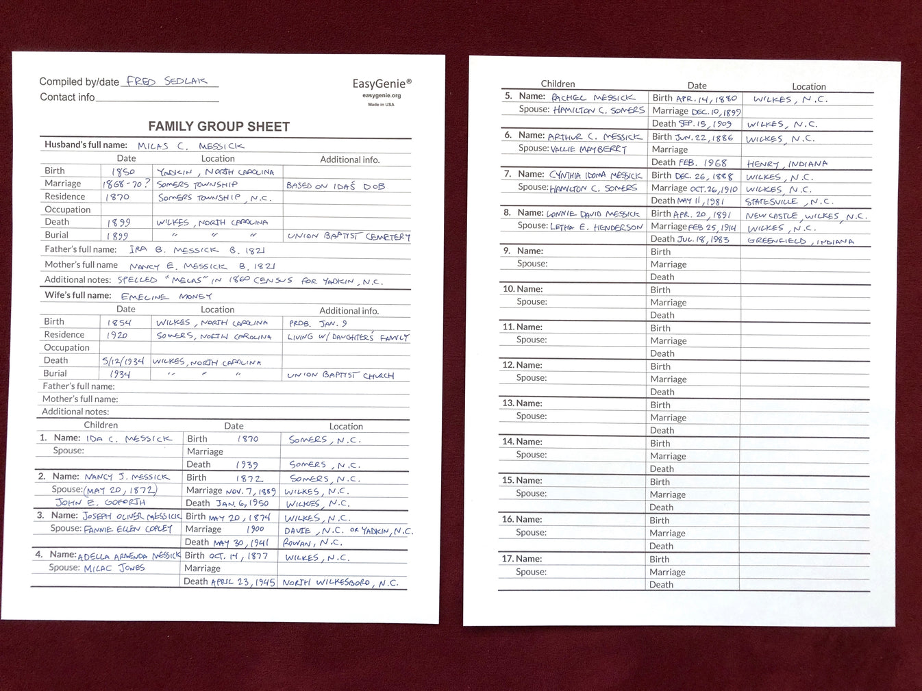 Family Group Sheets for Genealogists (30 LARGE PRINT sheets) – EasyGenie