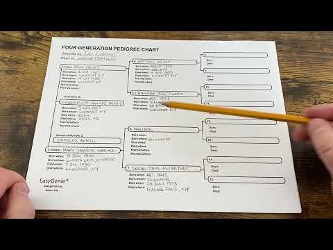 Large-Print Genealogy Charts and Forms Kit (30 Sheets) – EasyGenie