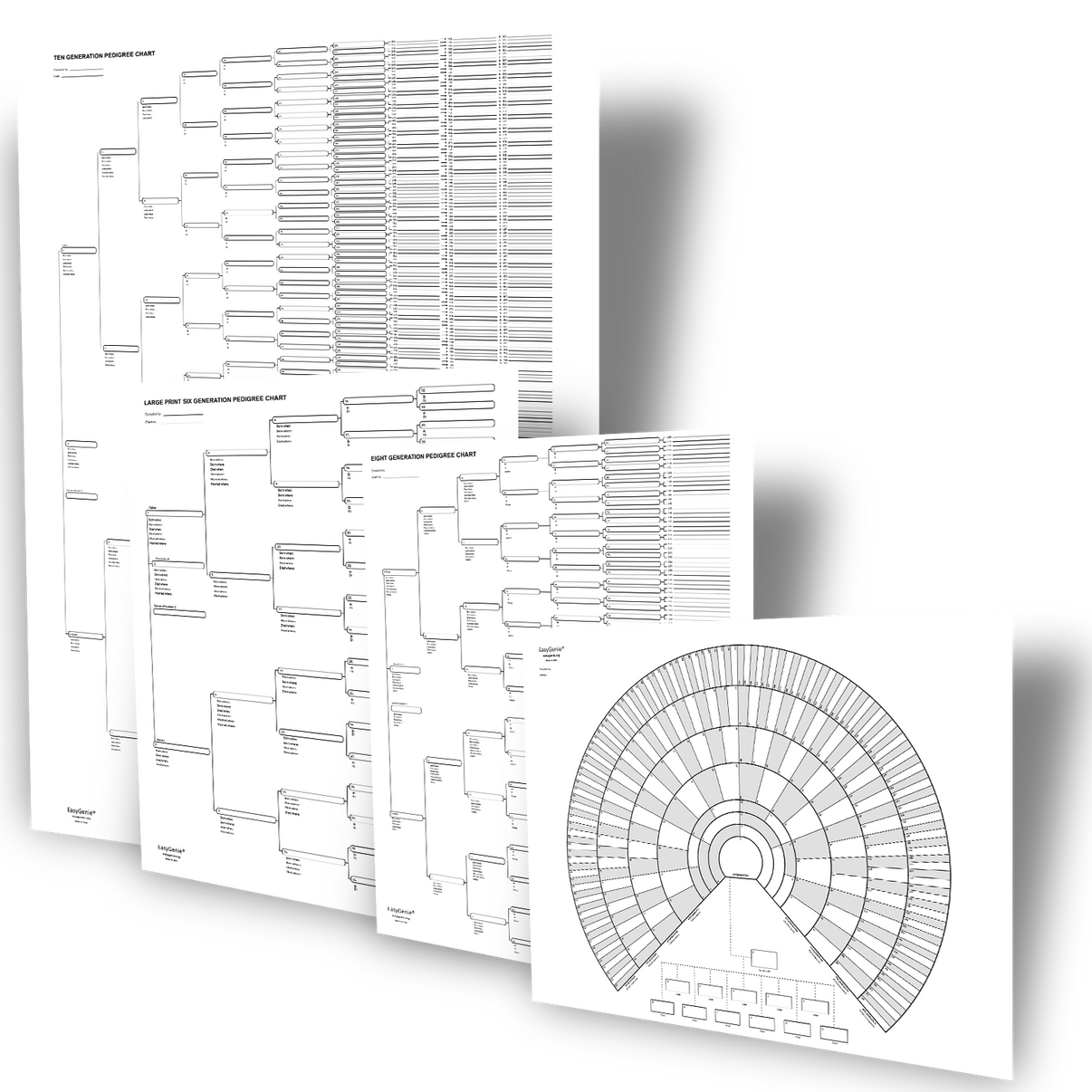 Big Genealogy Charts Sampler – EasyGenie