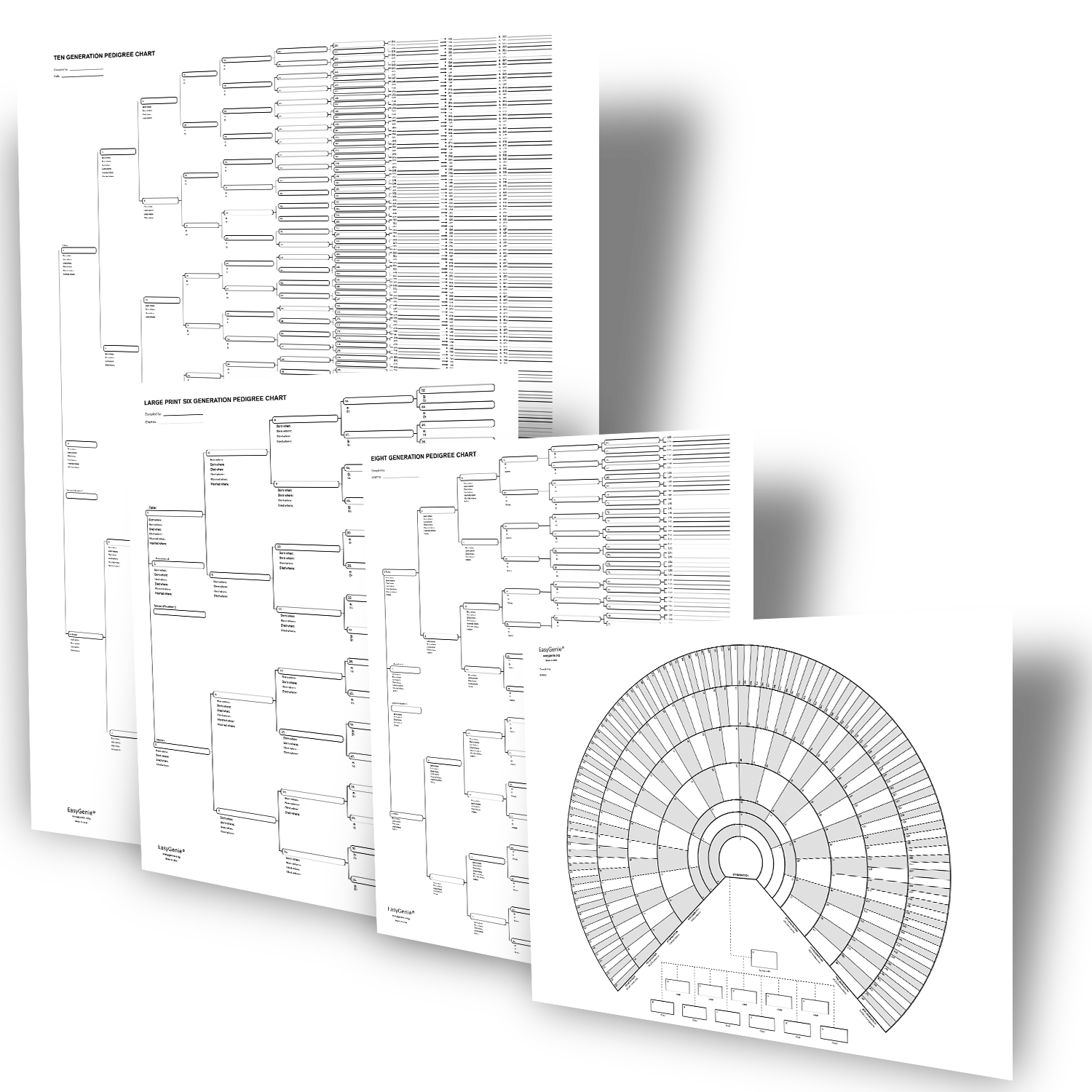 Family Tree Chart Black And White