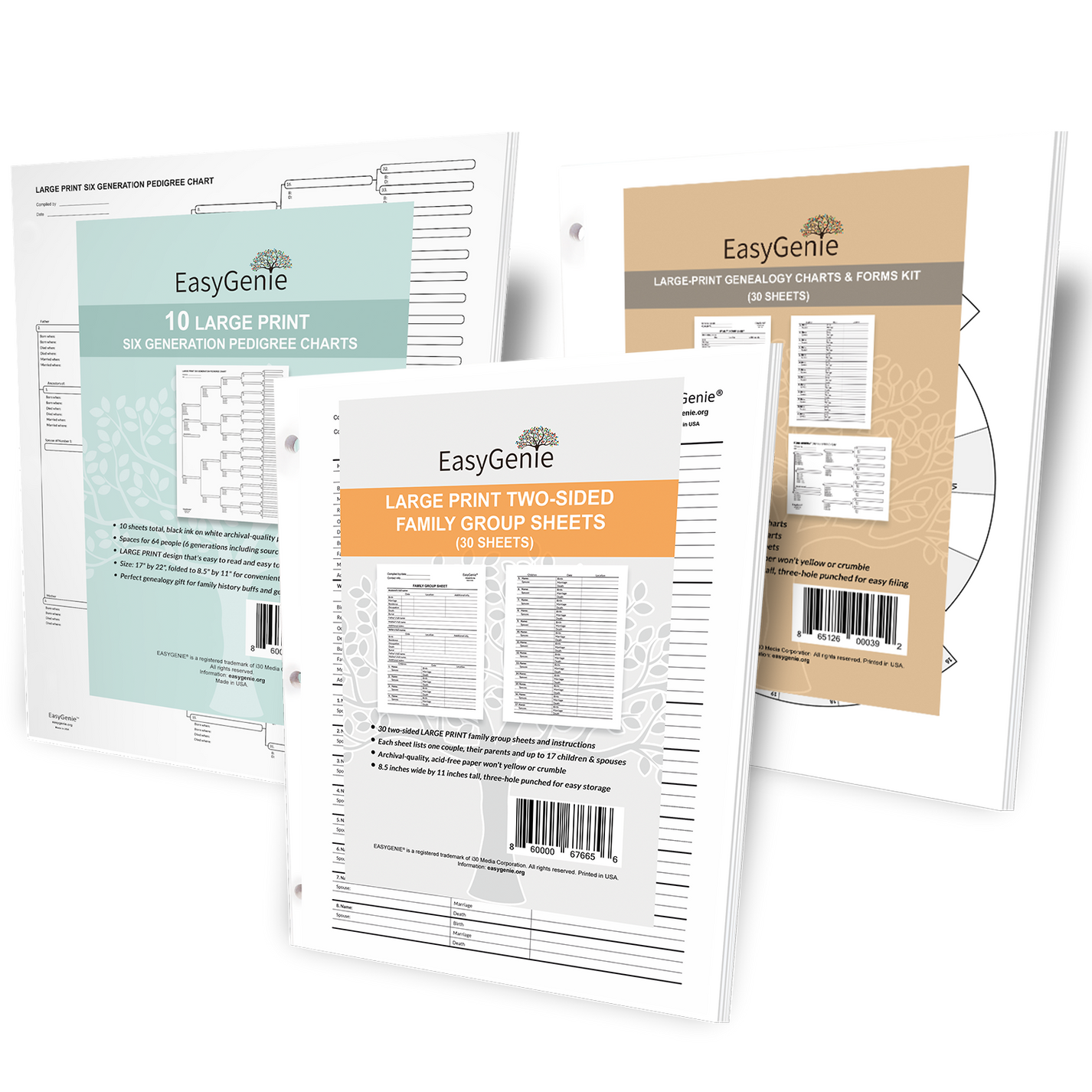 LARGE PRINT Genealogy Charts & Forms Bundle – EasyGenie
