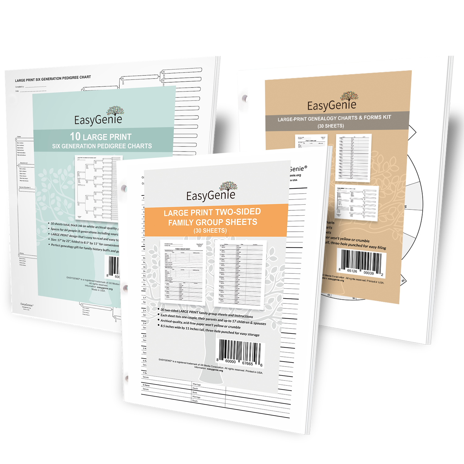 LARGE PRINT Charts & Forms Bundle – EasyGenie