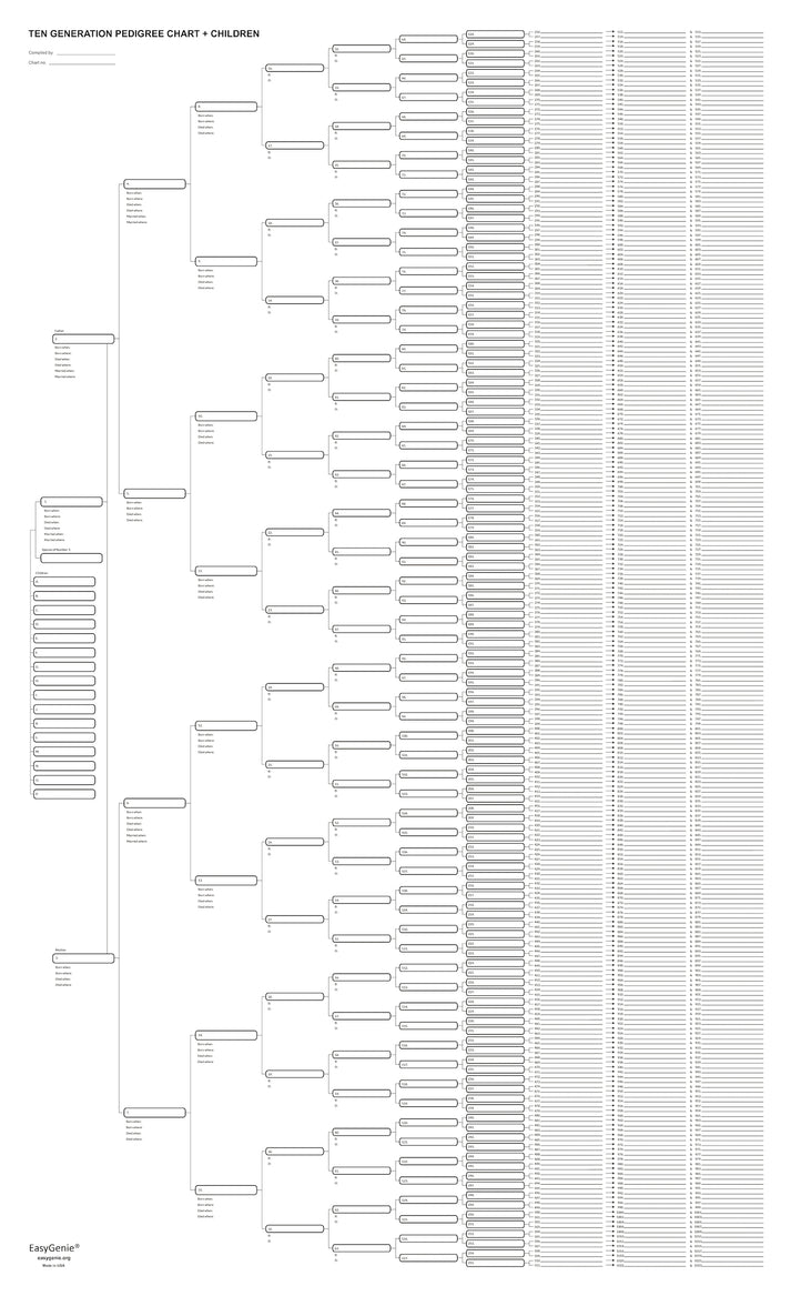 Generations Chart - map 10 generations of ancestry (3 pack) – EasyGenie